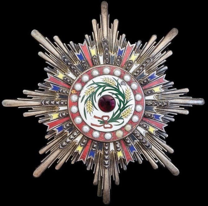 2nd class Orders of Precious Brilliant Golden Grain/二等寳光嘉禾勲章 | Medals ...