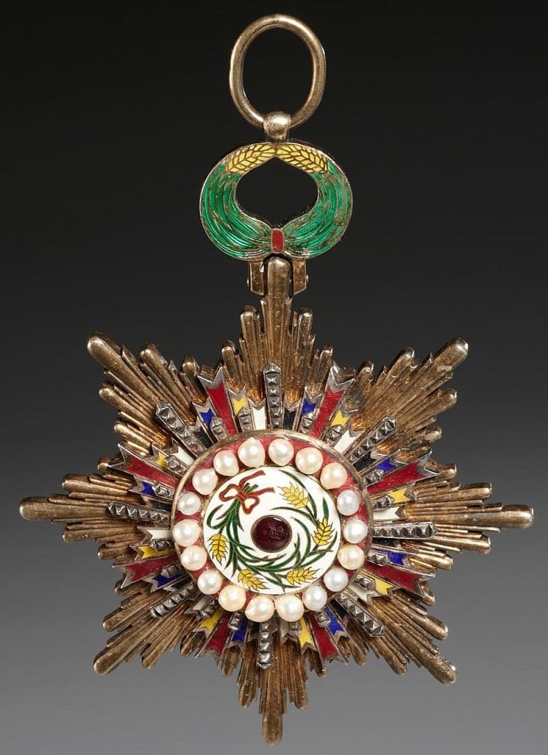 2nd class Orders of Precious Brilliant Golden Grain/二等寳光嘉禾勲章 | Medals ...