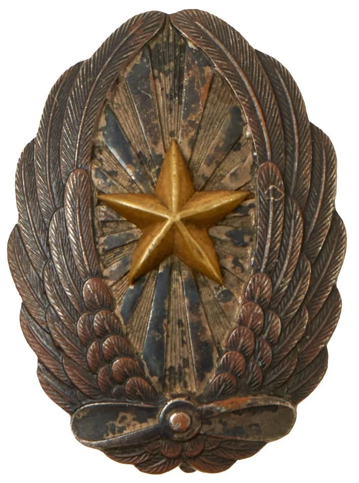Well-worn Japanese Army Pilot Badges | Medals of Asia