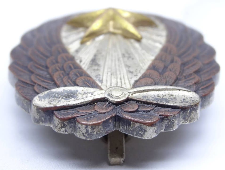 Japanese Pilot Badge of Satoshi Nakano | Medals of Asia