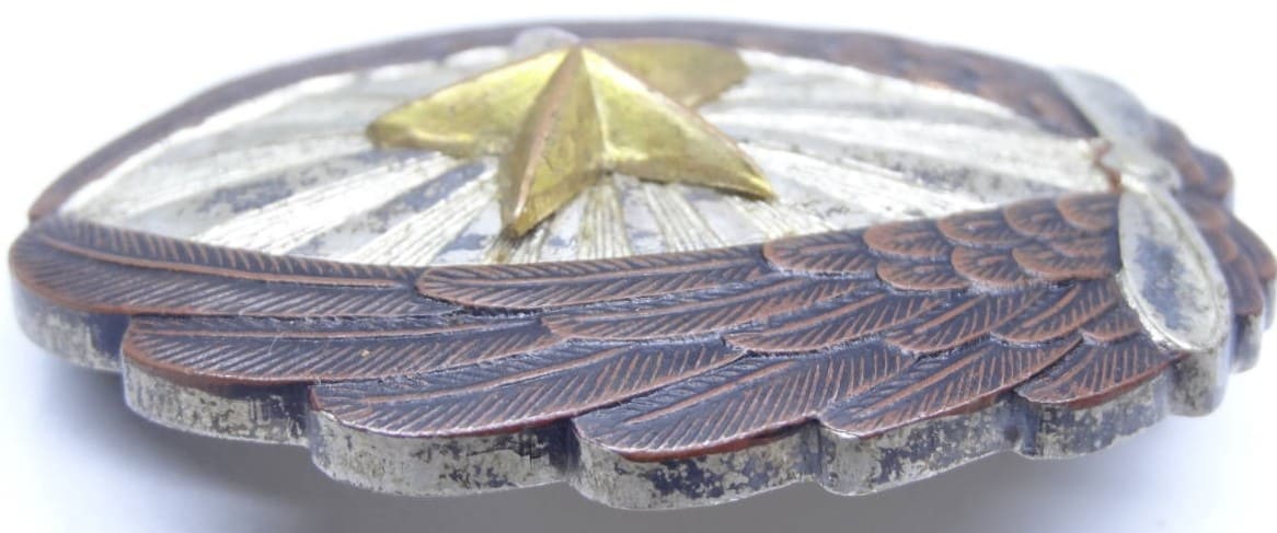 Japanese Pilot Badge of Satoshi Nakano | Medals of Asia