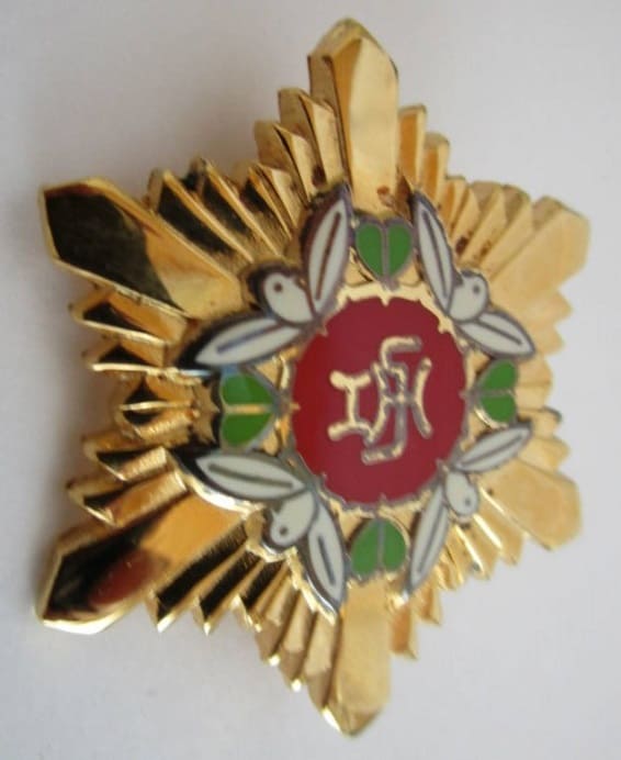 Minister of Health and Welfare Meritorious Service Badge/民生委員児童委員厚生大臣功労 ...